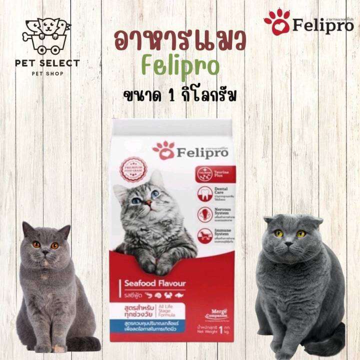 [1kg.] อาหารแมว Felipro อาหารแมวแบบแห้ง อาหารและขนมแมว อาหารสำหรับ แมว ...