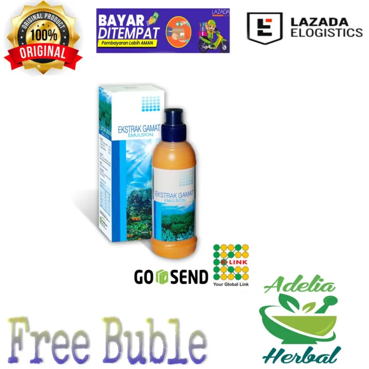 Gamat Emulsion K link // Herbal Gamat K link //Gamat Multi Manfaat ...