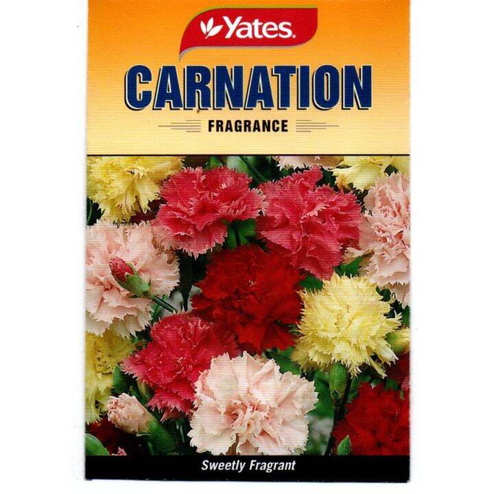 YATES Carnation Fragrance Seeds | Lazada PH