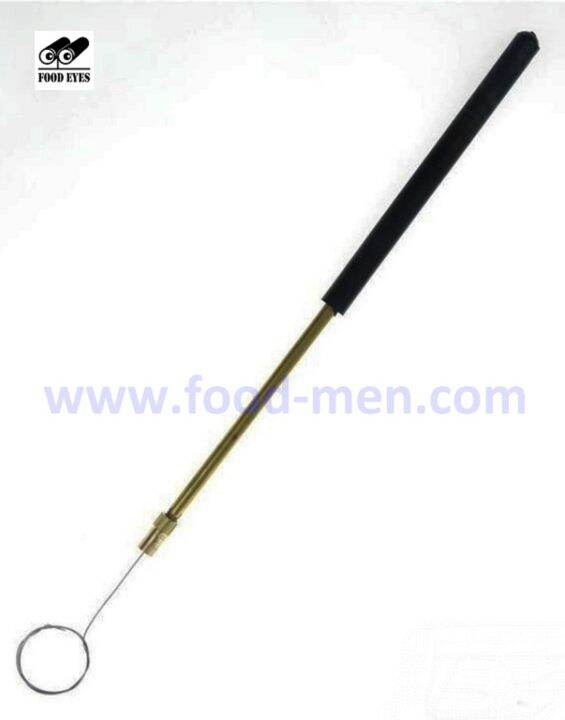 INOCULATING LOOP METAL | Lazada PH