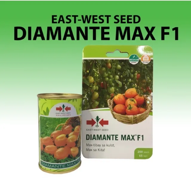 Seeds | Buto ng Halaman | Kamatis | Home Gardening | Backyard Gardening ...