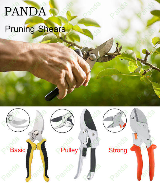 PANDA Gunting pruning dahan Gunting dahan bilah SK5 Gunting tanaman ...