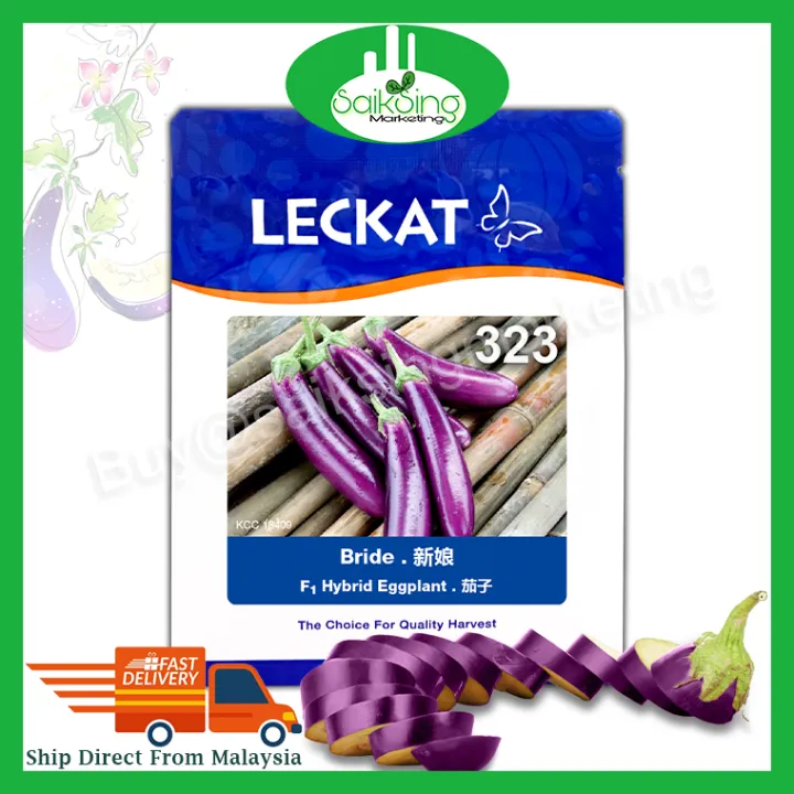 Benih Terung LECKAT 10G BRIDE 323 / F1 HYBRID EGGPLANT / Terung Baby ...