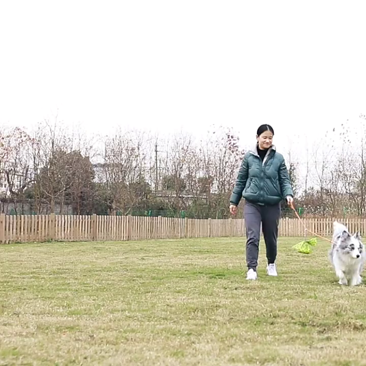 Dog Walking Pet Garbage Bag Hands-Free Clip Retractable Traction ...