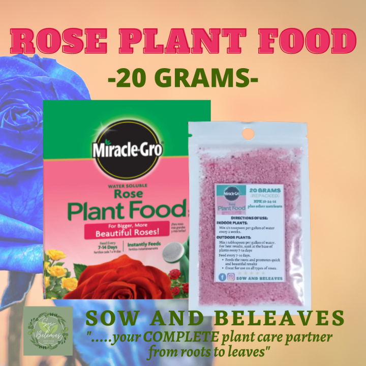 MIRACLE-GRO ROSE PLANT FOOD (20 GRAMS) | FERTILIZER | SOW AND BELEAVES | WATER SOLUBLE | Lazada PH