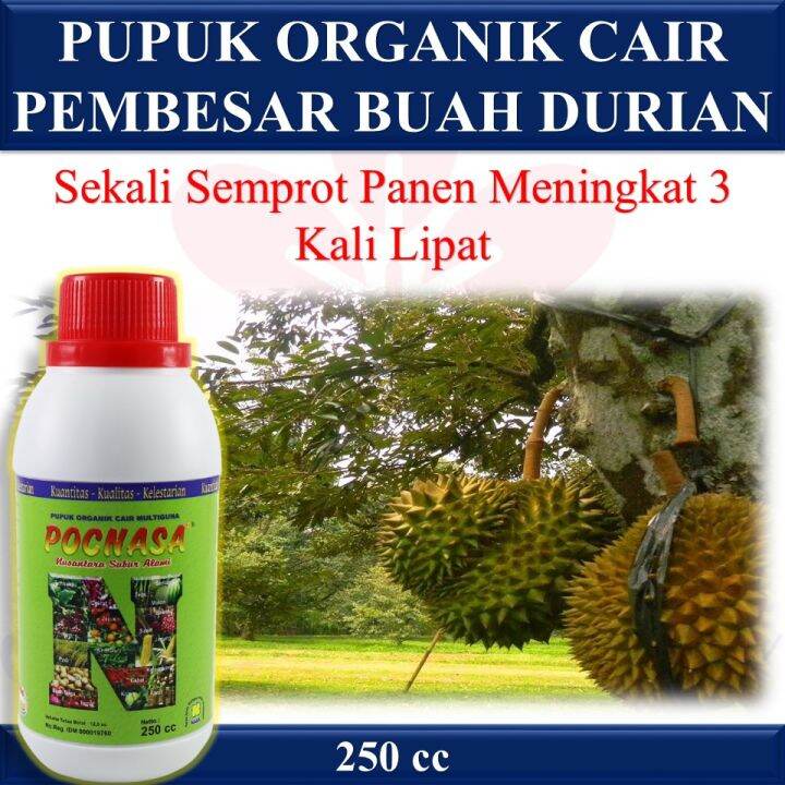 Pupuk Agro Lestari Cair Pembesar Buah Durian 250cc / Pelebat Buah Durian / Pupuk Cair Booster 76 ...