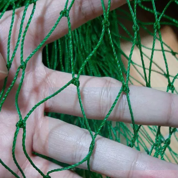 Construction Net Range Fish Pond Barrier Chicken Net Anti Bird Net ...