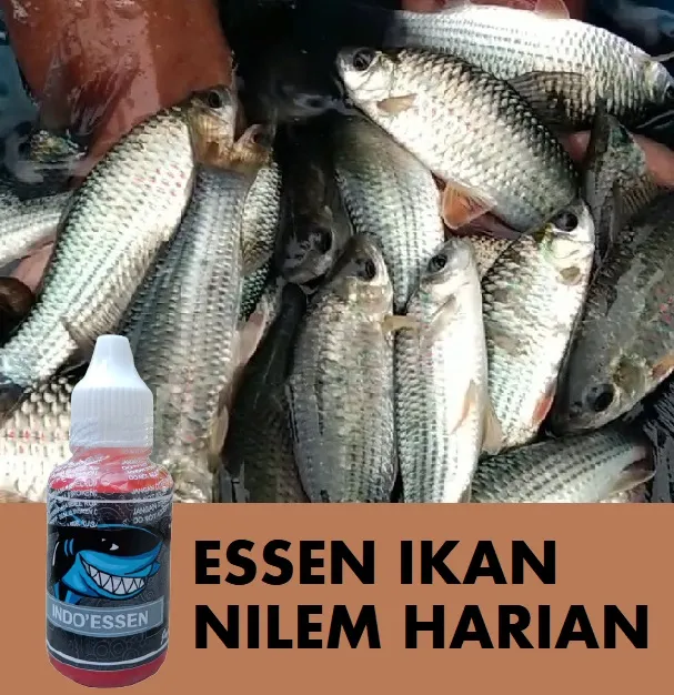 [BISA COD] Essen Ikan Nilem Harian Segala Cuaca 30ml | Lazada Indonesia