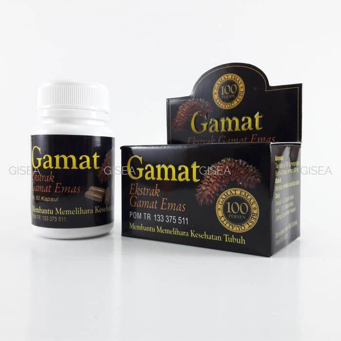 Kapsul Gamat ( Ekstra Gamat Emas) 60 Kapsul | Lazada Indonesia