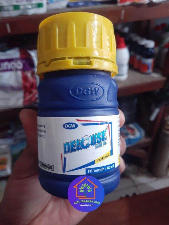 COD Insektisida Sistemik Delouse 200SL DGW 80ml Obat Pembasmi Hama ...