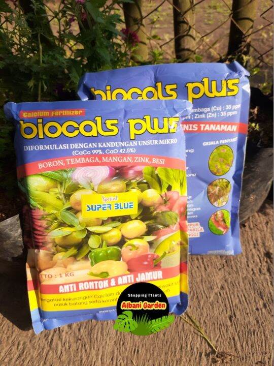 COD Biocal PLus Pupuk Kalsium Super Blue 1 Kg Kemasan Original | Lazada ...