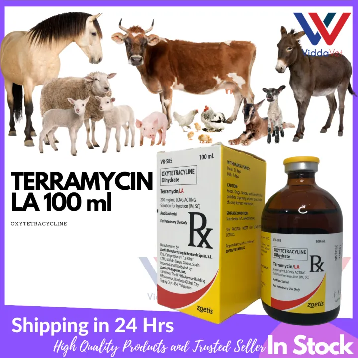 TERRAMYCIN 100ML Solution - Viddavet 1Bottle Terramycin for livestock ...