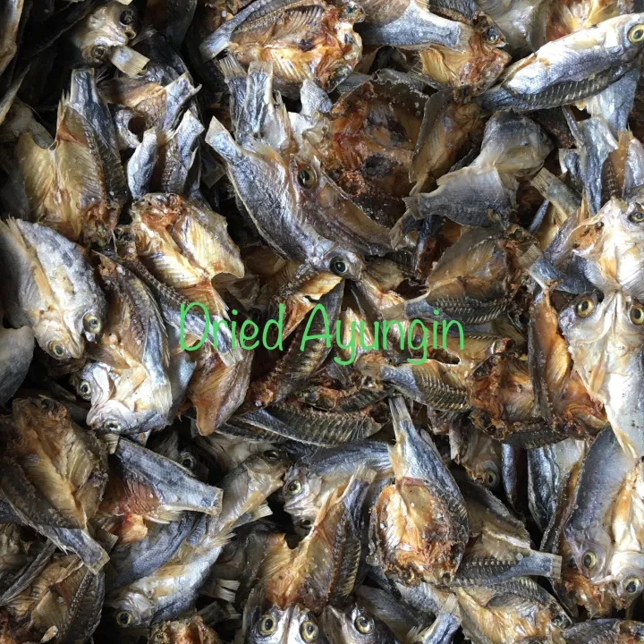 DDP Dried Ayungin 500g | Lazada PH