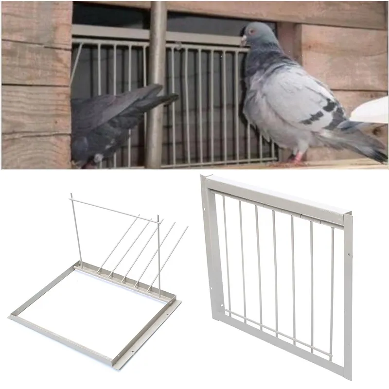 Fantail Pigeon Loft