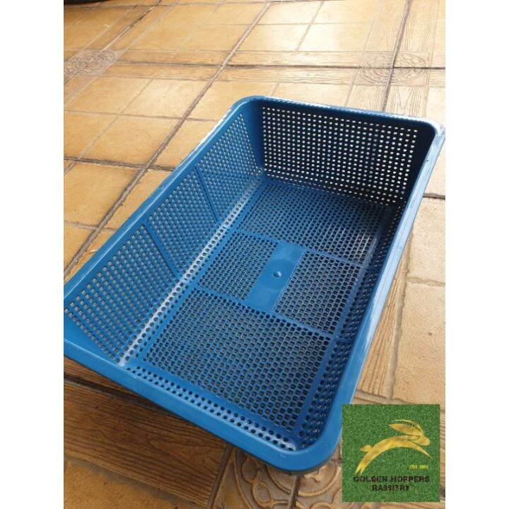 Plastic Nest Box for Rabbit | Lazada PH