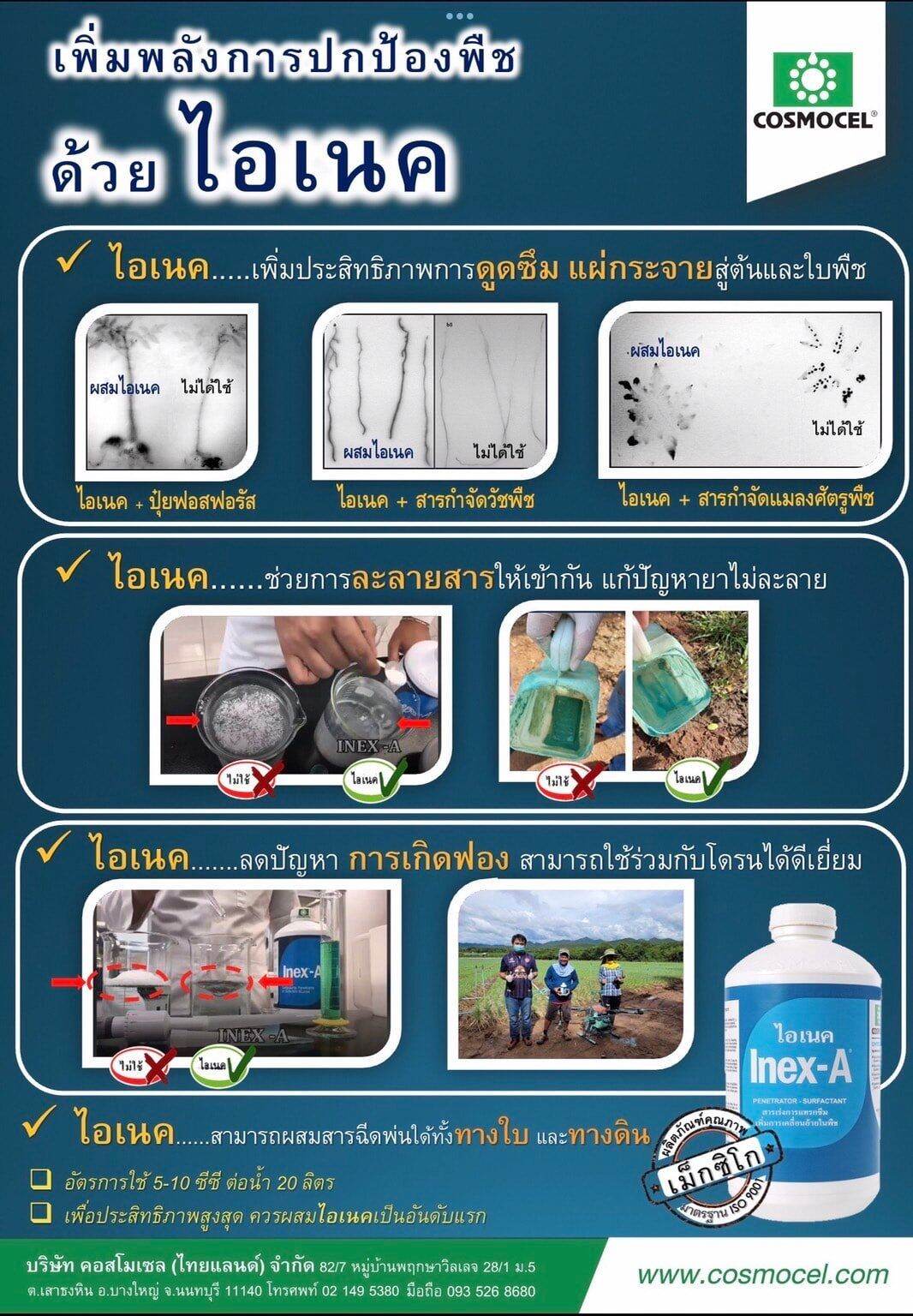 คอสโมเซล ไอเนค เอ Cosmocel Inex-A 1 ลิตร สารจับใบ เสริมประสิทธิภาพการ ...