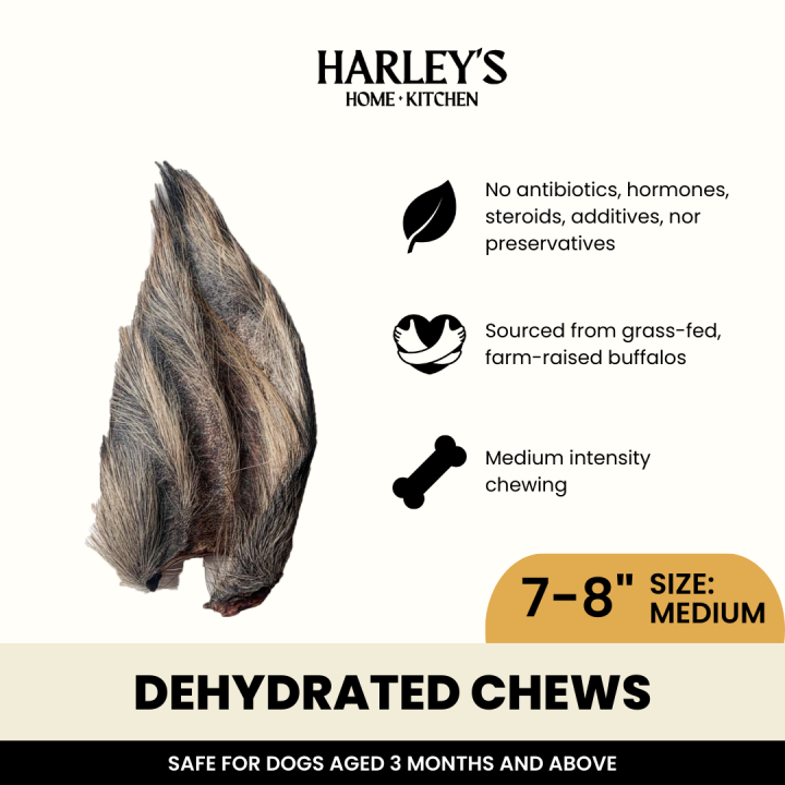 Furry Buffalo Ear Chew For Dogs | Lazada PH