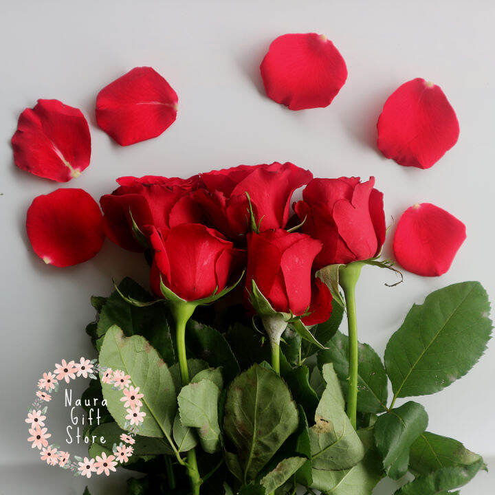 Bunga Mawar Segar 20 Tangkai | Lazada Indonesia