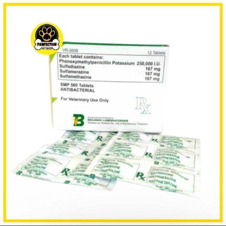 SMP 500 (sold per box) 12 tablets x 1 box | Lazada PH