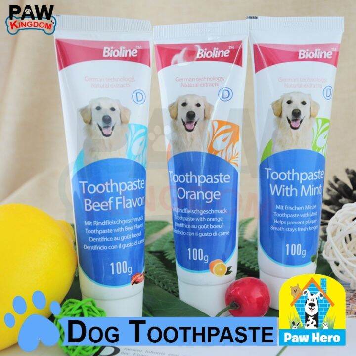 Bioline Toothpaste Dental Care Pet Dog 100g by PAW HERO (TOOTHPASTE ...