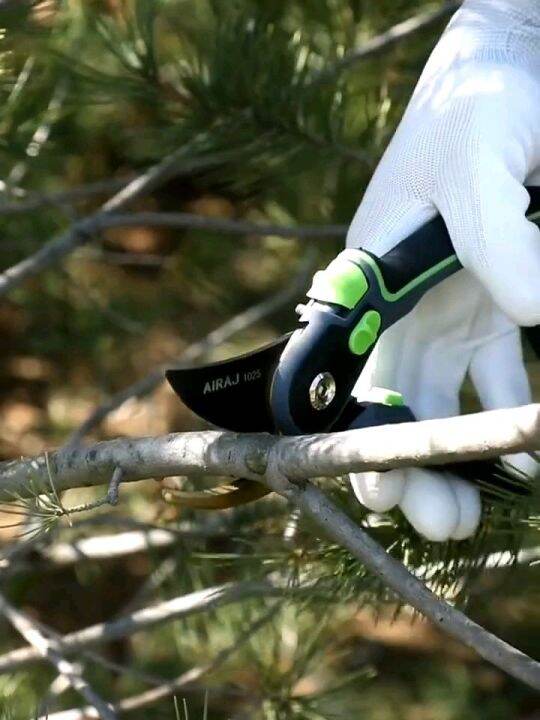 Gunting Tanaman Peralatan Berkebun Taman Ranting puring Garden Pohon ...