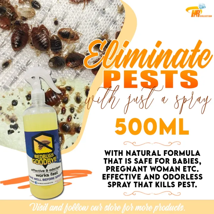 Bedbugs Goodbye Spray 500ml Natural Bed bugs Killer effective odorless ...