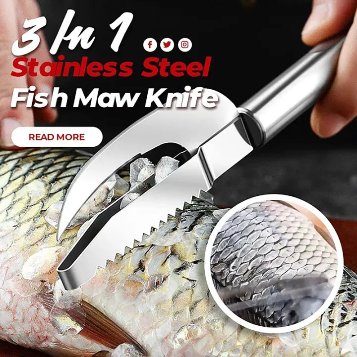 3in1 Fish Scaler, Stainless Steel Fish Scales Remover Open Fish Maw ...