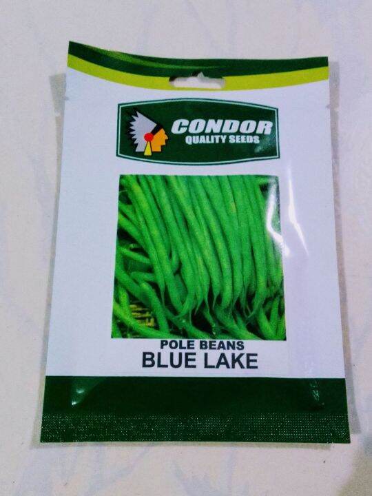 BLUE LAKE POLE BEAN SEEDS (10 GRMS) CONDOR SEEDS | Lazada PH