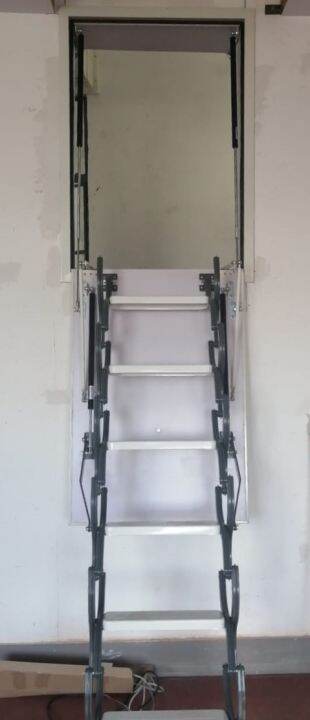 LSW Vertical Wall Access Ladder | Lazada Singapore