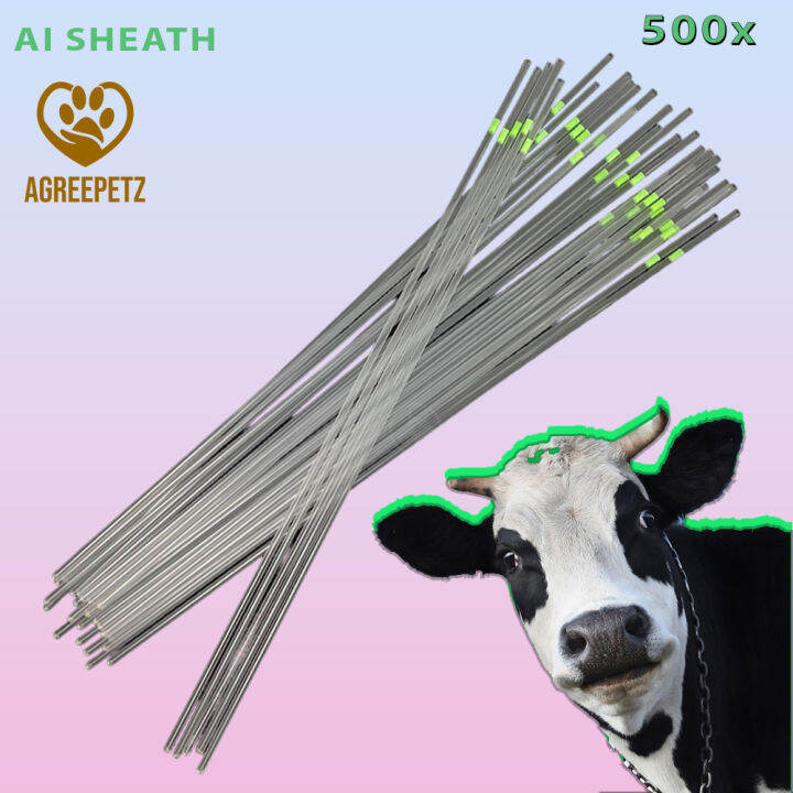 AI sheath catheter for Cattle artificial insemination, vitro ...