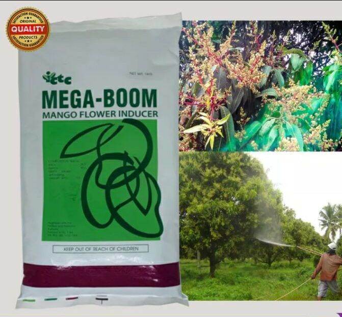 Original Mega-Boom flower inducer (1 KG ) | Lazada PH