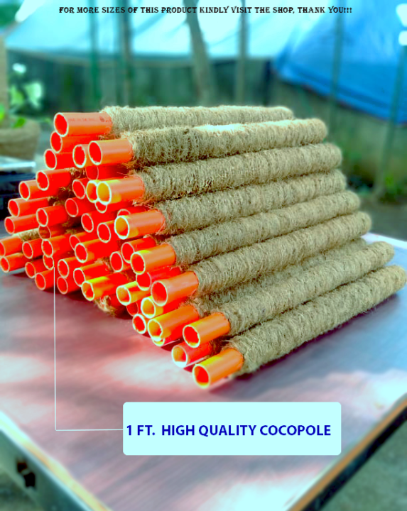 PVC TYPE 1-5FT COCOPOLE | 1-5ft Best Hand made Coco Pole| Plant Support ...