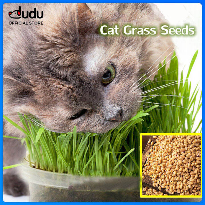 DUDU Pet Cat Grass Cat Snacks To Remove Hair Balls Hair Paste Cleaning ...