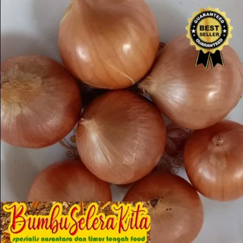 Bawang Bombay Besar 500 Gram | Lazada Indonesia