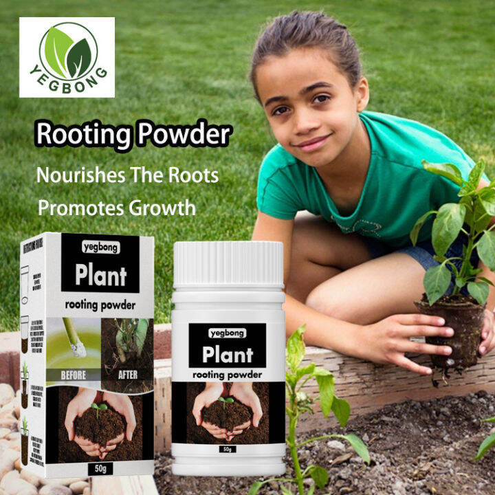 YEGBONG Rooting Hormone Powder Fast Root for Plant Cuttings.(50G ...