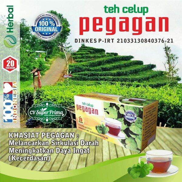 Teh Celup Daun Pegagan Tea Herbal Asli Original 100% Menambah ...