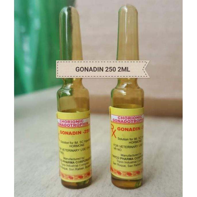 Gonadin 250 injection solution 2ml ampules | Lazada PH