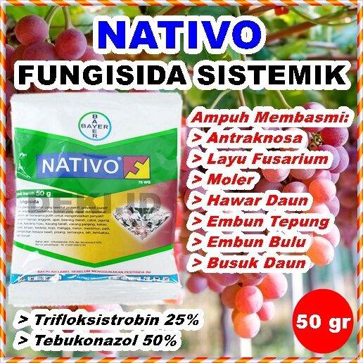 Fungisida Nativo 75 WG 50 Gram Sistemik Pestisida Obat Pembasmi Hama ...