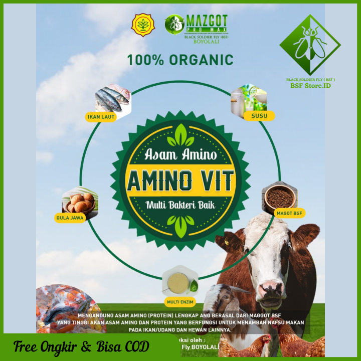 Vitamin Premix Mineral Asam Amino Untuk Sapi | Aminofit BSF | Lazada ...