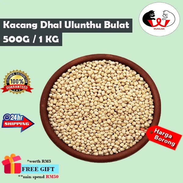 Dal Urad White / Ulunthu Putih / Lentils [500G / 1KG] | Lazada