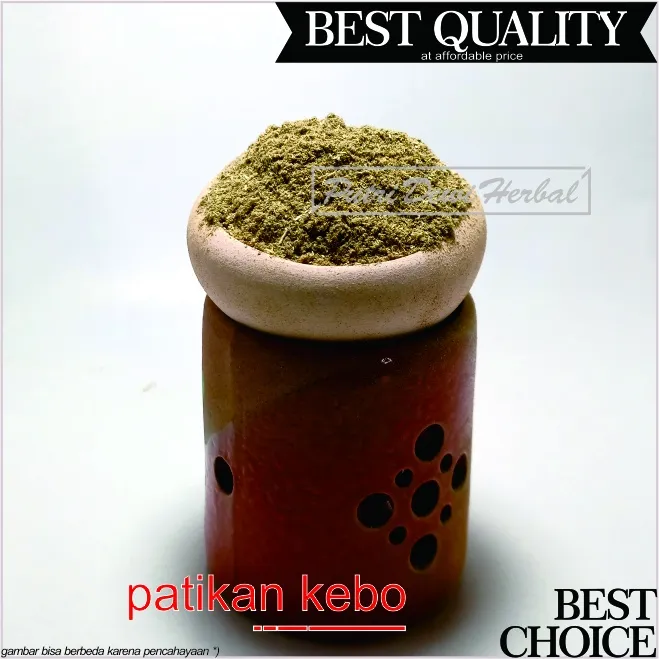 Patikan Kebo Bubuk 1 Kg - 1000 Gram - Serbuk Daun Biji Kacang ...