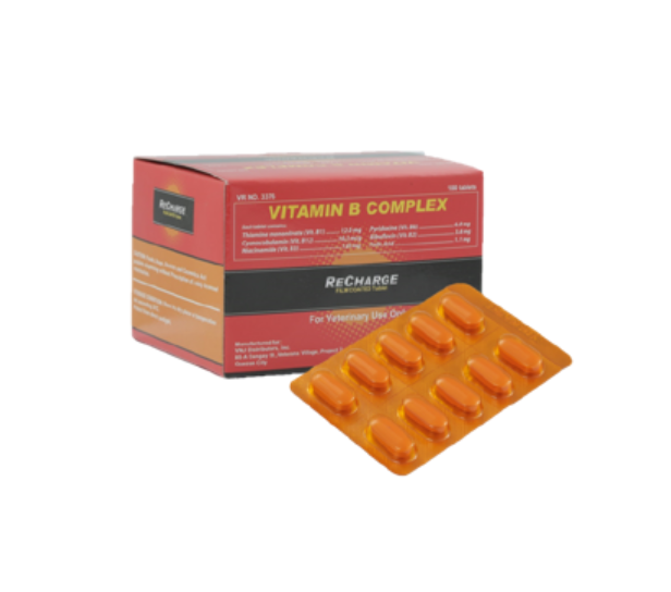 Recharge Tablet VITAMIN B COMPLEX TABLET | Lazada PH