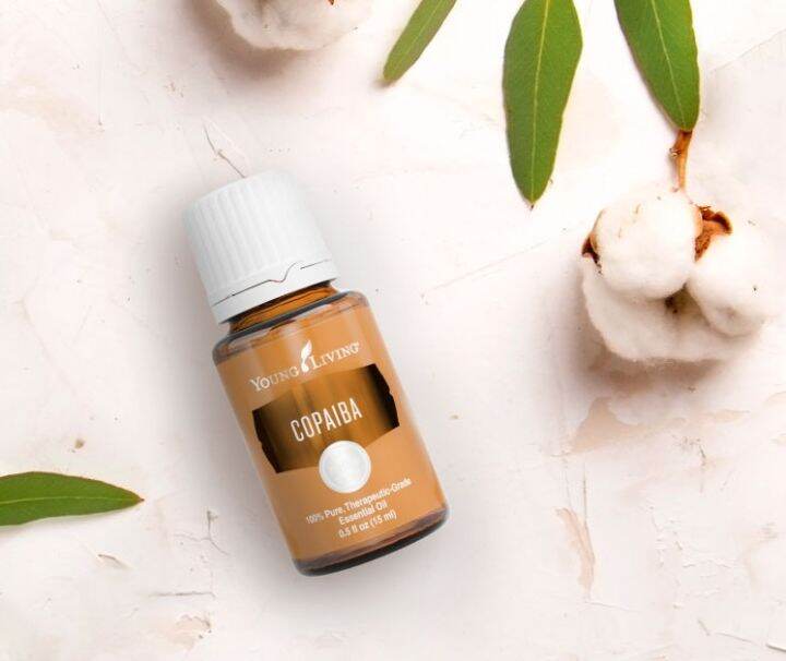 Copaiba Essential Oil 5ml - Young Living | Lazada PH