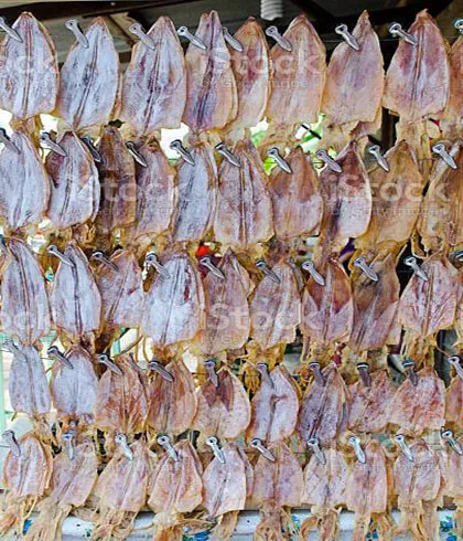 PUSIT MEDIUM (DRIED SQUID) 250 grams (CEBU'S BEST) | Lazada PH