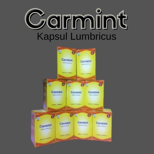 CARMINT Kapsul Lumbricus 30 Kapsul / Obat Demam Tinggi & Tipes ...