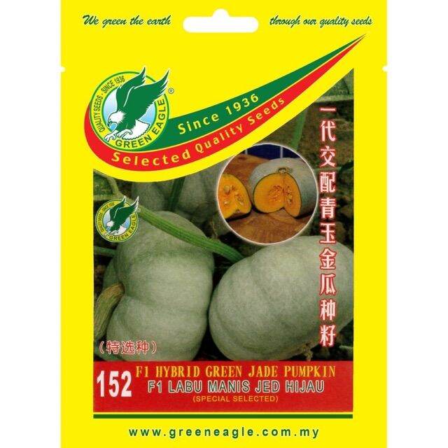 152 F1 HYBRID GREEN JADE PUMPKIN LABU MANIS JED HIJAU 青玉金瓜种籽 | Lazada