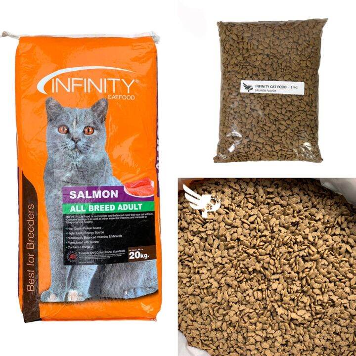 Infinity Catfood 1kg Repacked - Salmon flavor - All Breed Adult - Cat ...