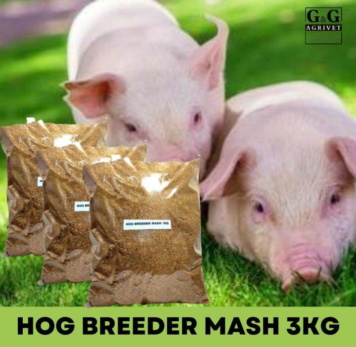[G&G AGRIVET] 3KG CASADOR HOG BREEDER MASH / FEED MIXED WITH PREGNANT ...