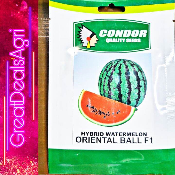 ORIENTAL BALL F1 HYBRID WATERMERLON SEEDS (2 GRAMS) CONDOR SEEDS ...