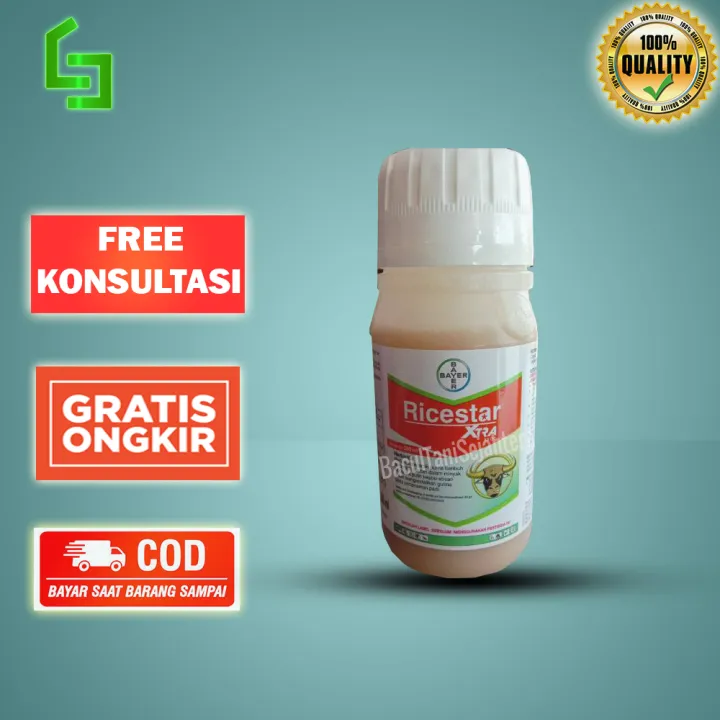 RICESTAR 69 EC BANTENG 100 ML HERBISIDA Selektif Obat Pembasmi Rumput ...